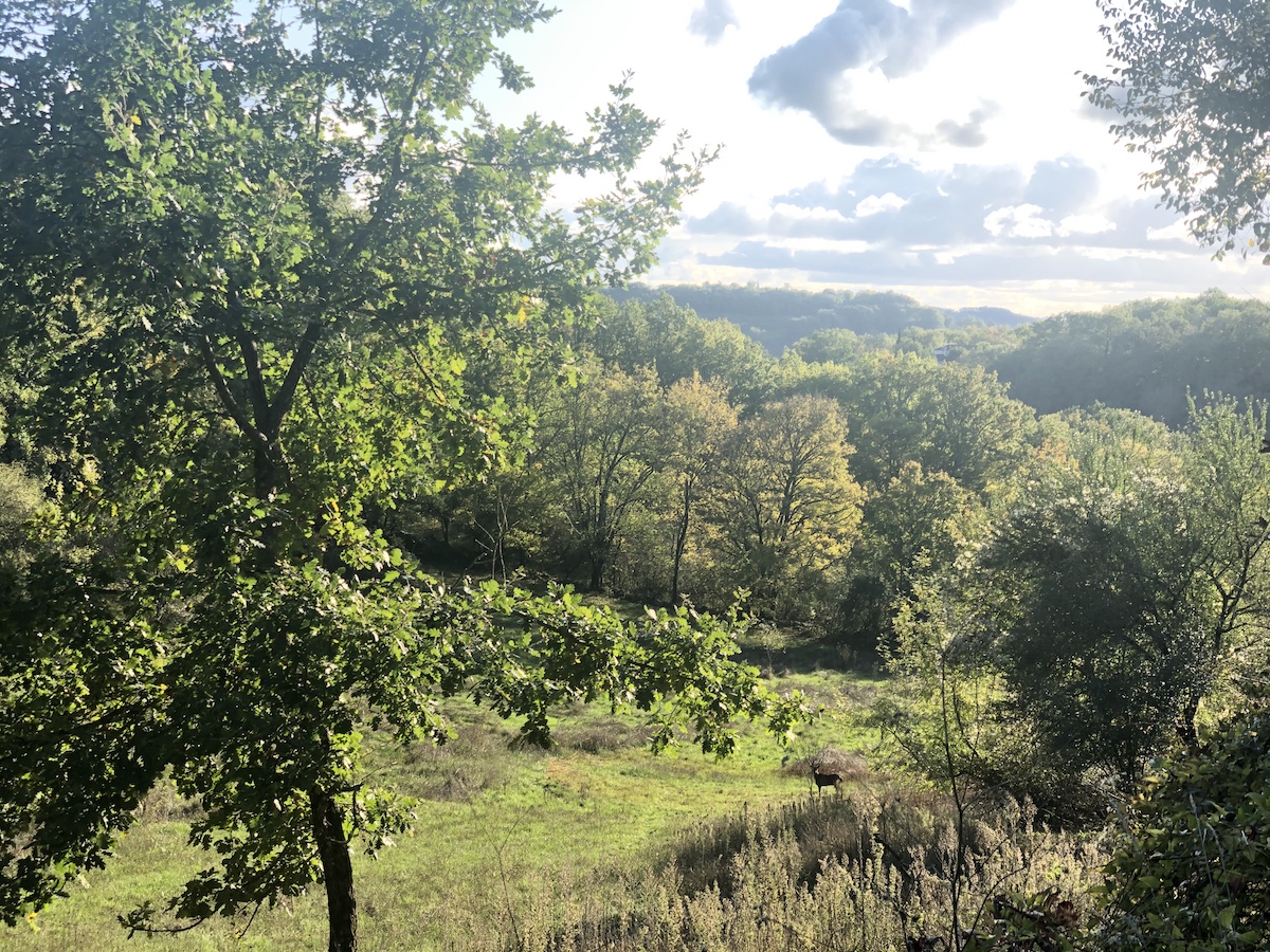 Plant a Tree - The Happy Hamlet